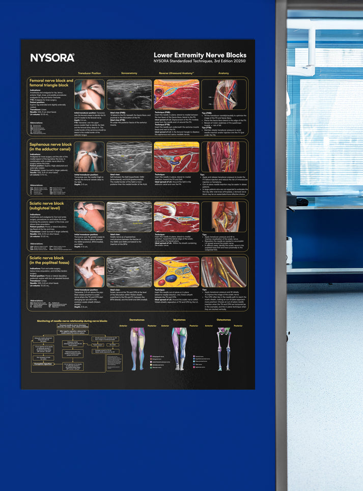 Lower Extremity Nerve Blocks Poster – NYSORA